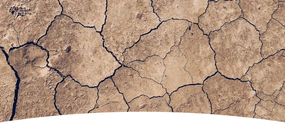 World Population Facts - Population Matters