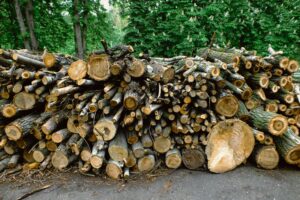 Global Resources Dwindling as Demand Rises - Population Matters