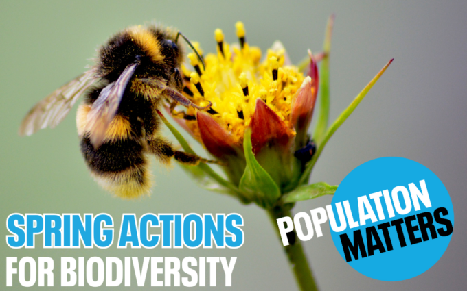 Get ready for spring action month 2024 - Population Matters