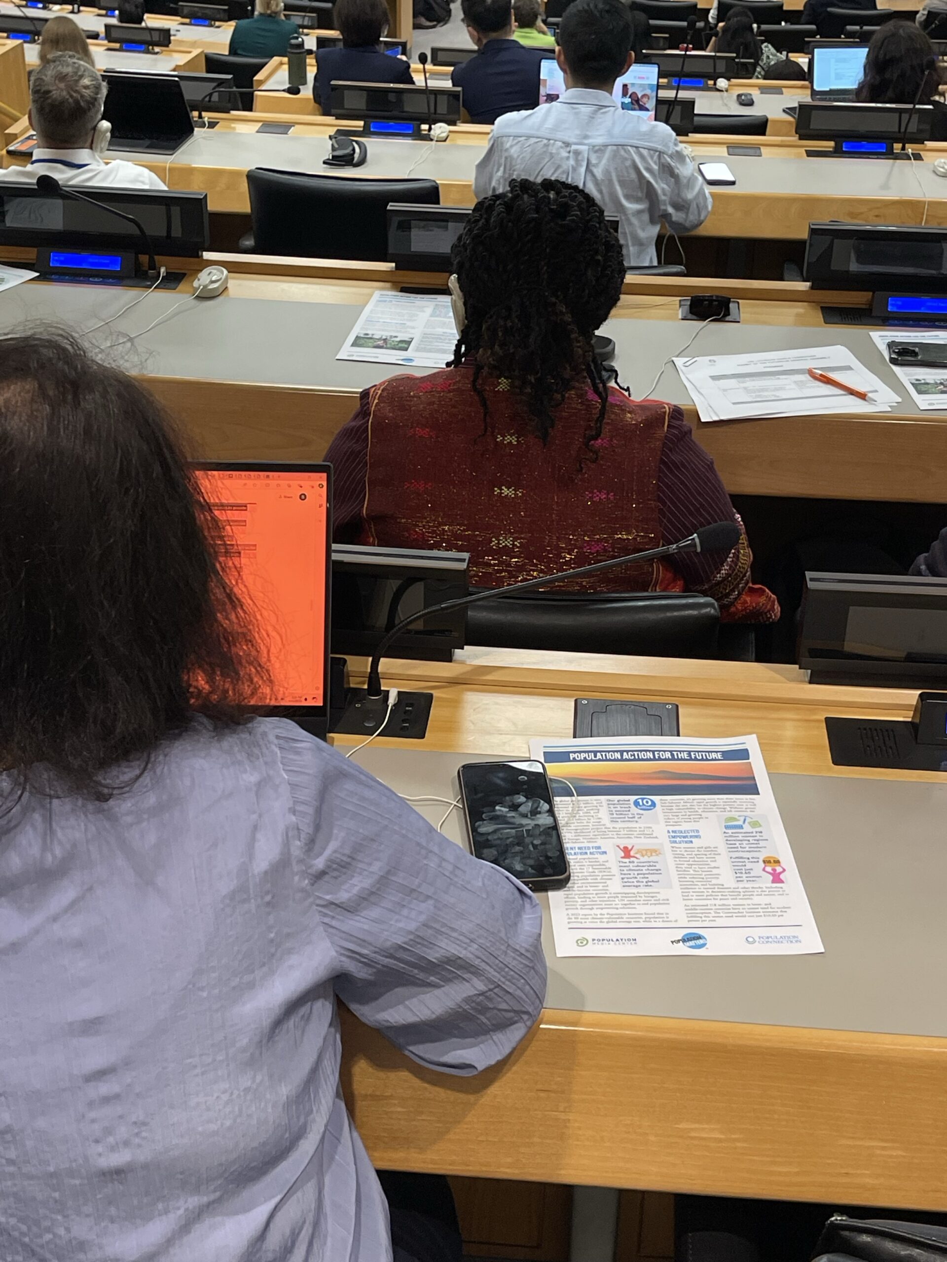 Insights from the UN Summit of the Future - Population Matters